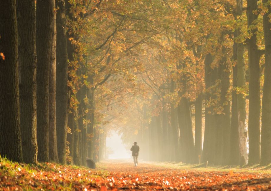 The best Autumn walks near London | Zipcar