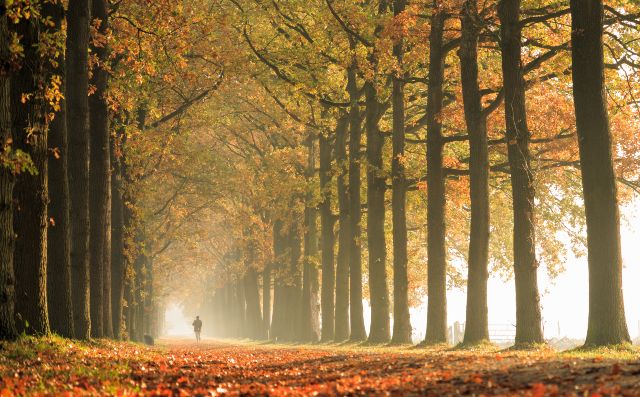 The best Autumn walks near London | Blog | Zipcar