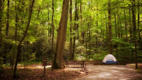 The best places to go camping near London | Zipcar